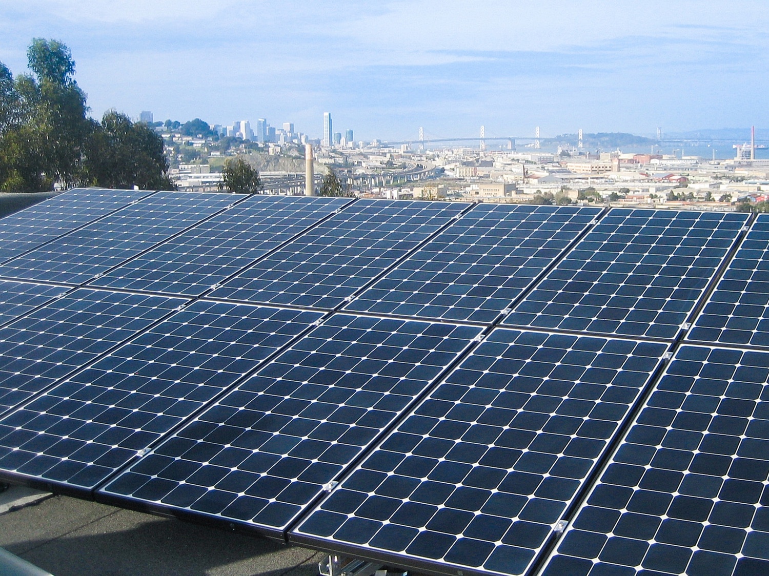 Graduated with an engineering degree and a passion for sustainability ...